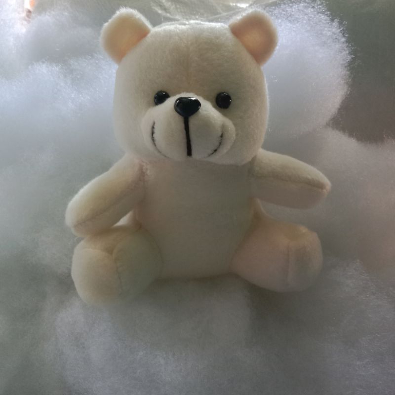 Jual boneka bear polos mini ukuran 15cm | Shopee Indonesia