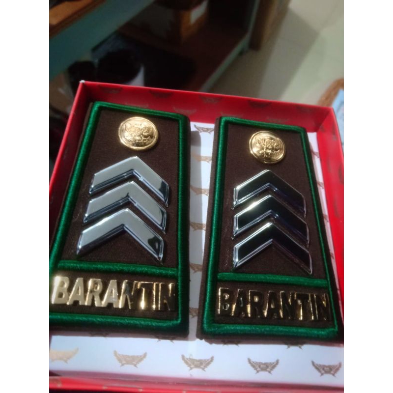 Jual pangkat pdh Barantin 2a/2b/2c/2d/3a/3b/3c/3d/4a/4b fungsional ...