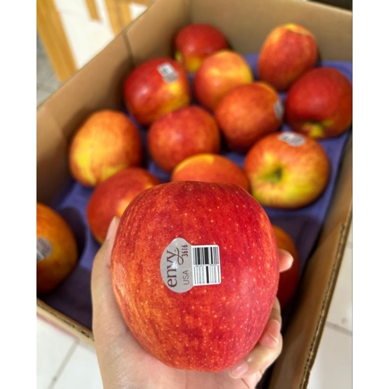 Jual APPLE ENVY JUMBO USA 1 KG | Shopee Indonesia