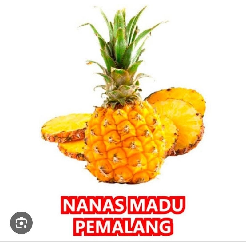 Jual Buah Nanas Madu Pemalang Asli Segar Fresh Manis Grade 1 Termurah | Shopee Indonesia