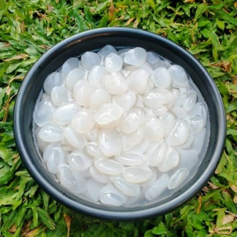 Jual Kolang kaling / cangkaleng 1 kg | Shopee Indonesia