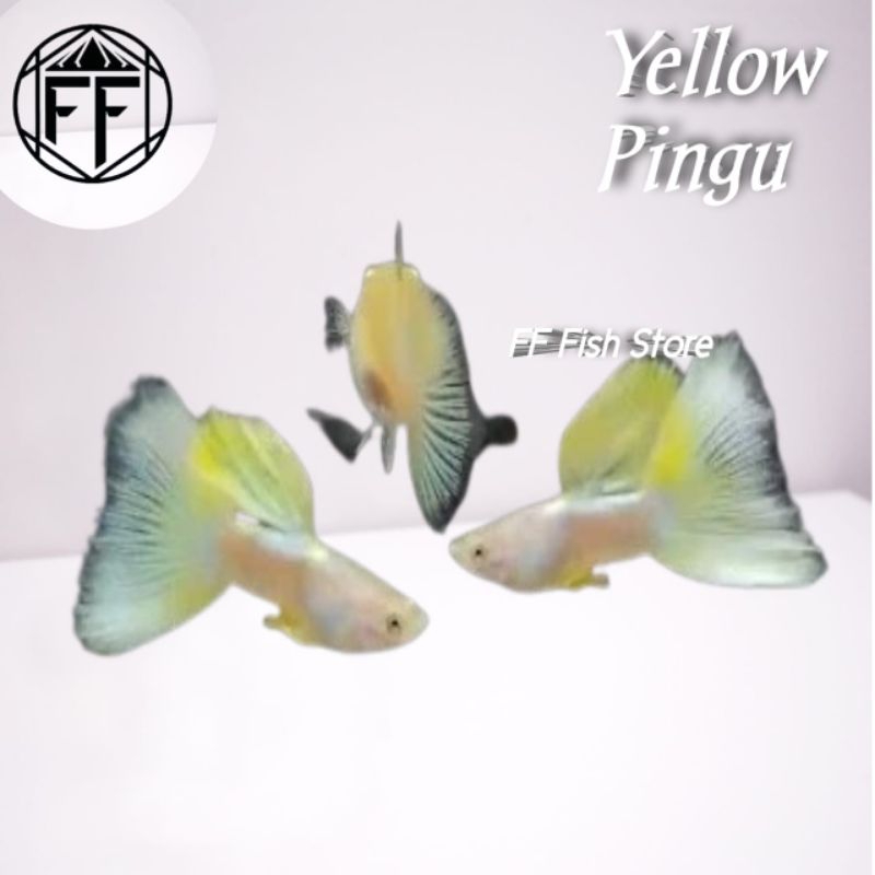 Jual Hiasan aquarium ( Yellow Pingu) | Shopee Indonesia