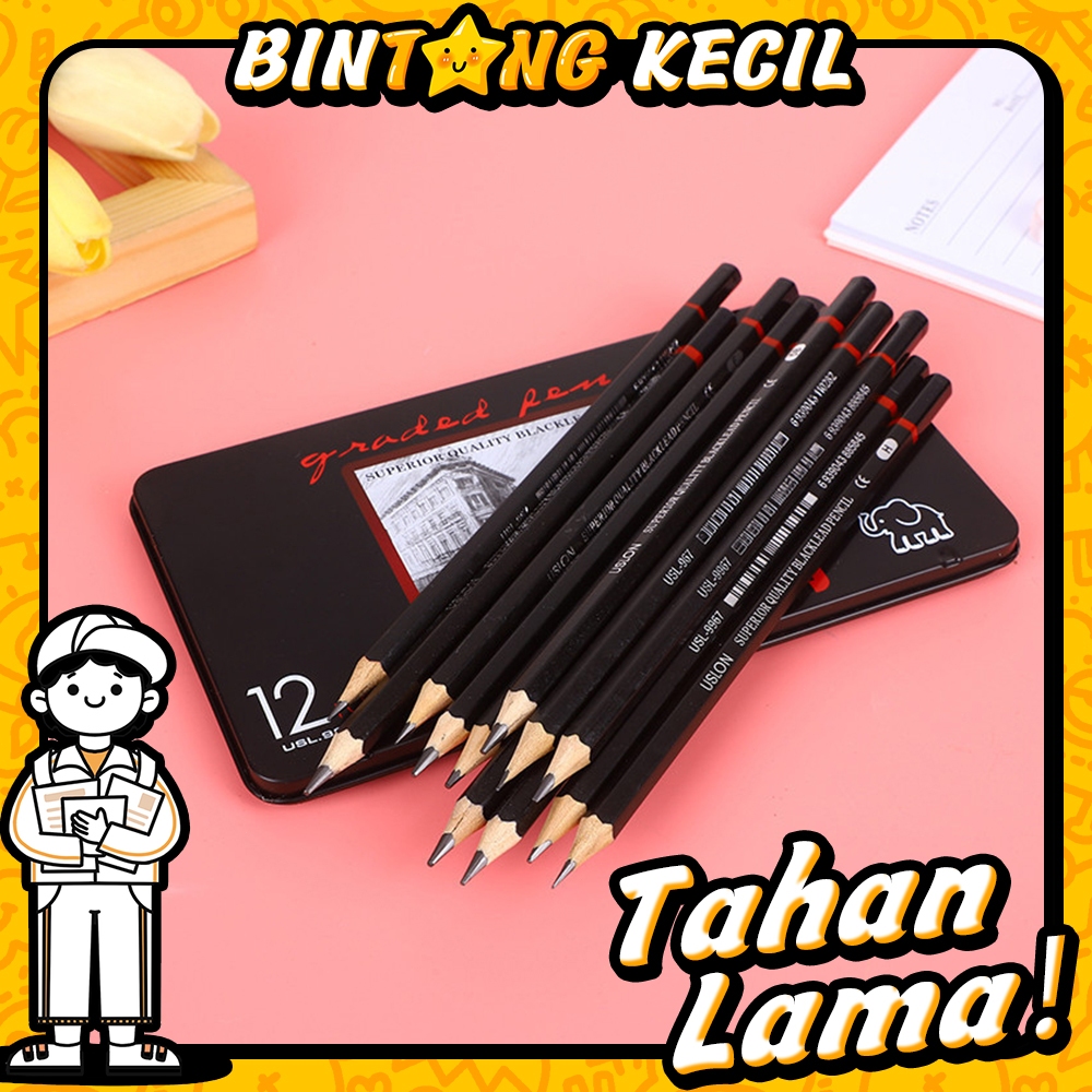 Jual 12 pcs Pensil gambar sketsa set lengkap 2H H F B HB 2B 3B 4B 5B 6B 7B 8B Charcoal Pencils ...