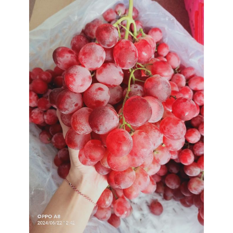 Jual Anggur red globe lucy china / kg | Shopee Indonesia