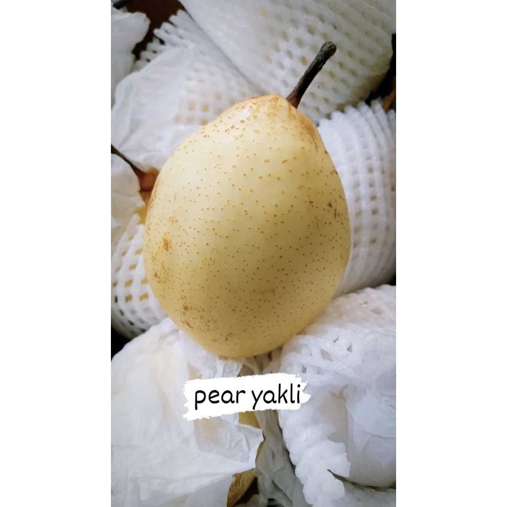 Jual pear yali/century 1kg | Shopee Indonesia
