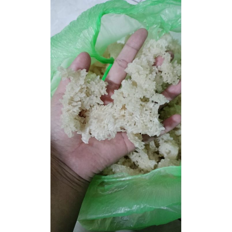 Jual NASI AKING KERING/NASI KARAK 1kg | Shopee Indonesia