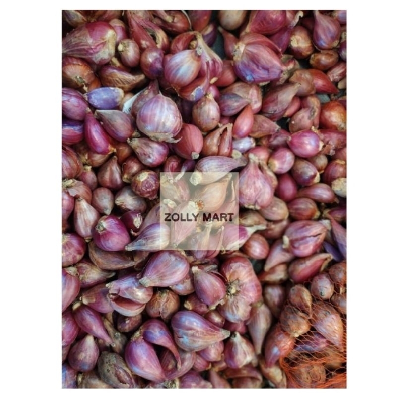 Jual ZOLLY MART - BAWANG MERAH, BAWANG PUTIH, BAWANG BOMBAY (EKOMONIS ...