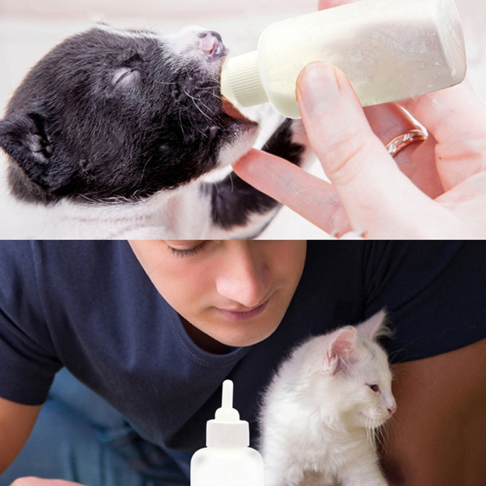Jual Botol Dot Kucing Bayi Baru Lahir Empeng Susu Kitten Nipple Kucing ...