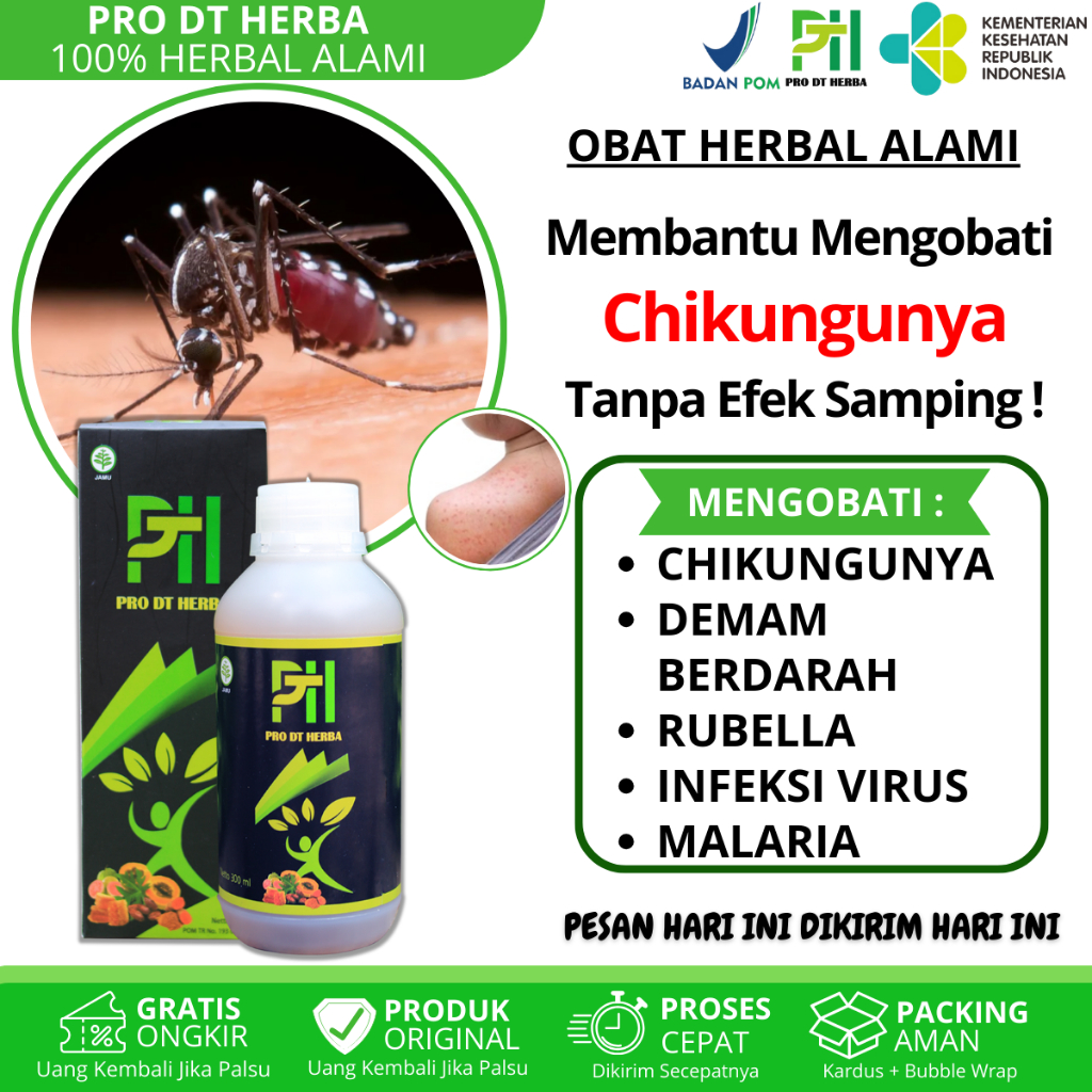 Jual Obat Chikungunya Paling Ampuh Demam Berdarah Dbd Infeksi Virus ...