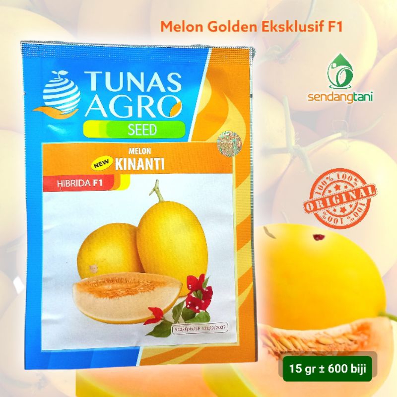 Jual Melon New KINANTI F1 15 gr Benih Bibit Melon Golden Orange Madu dari Tunas Agro Seed ...
