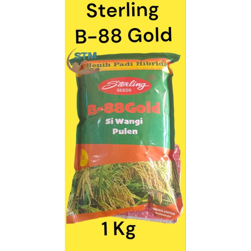 Jual Benih padi hibrida Sterling B 88 gold 1 Kg | Shopee Indonesia