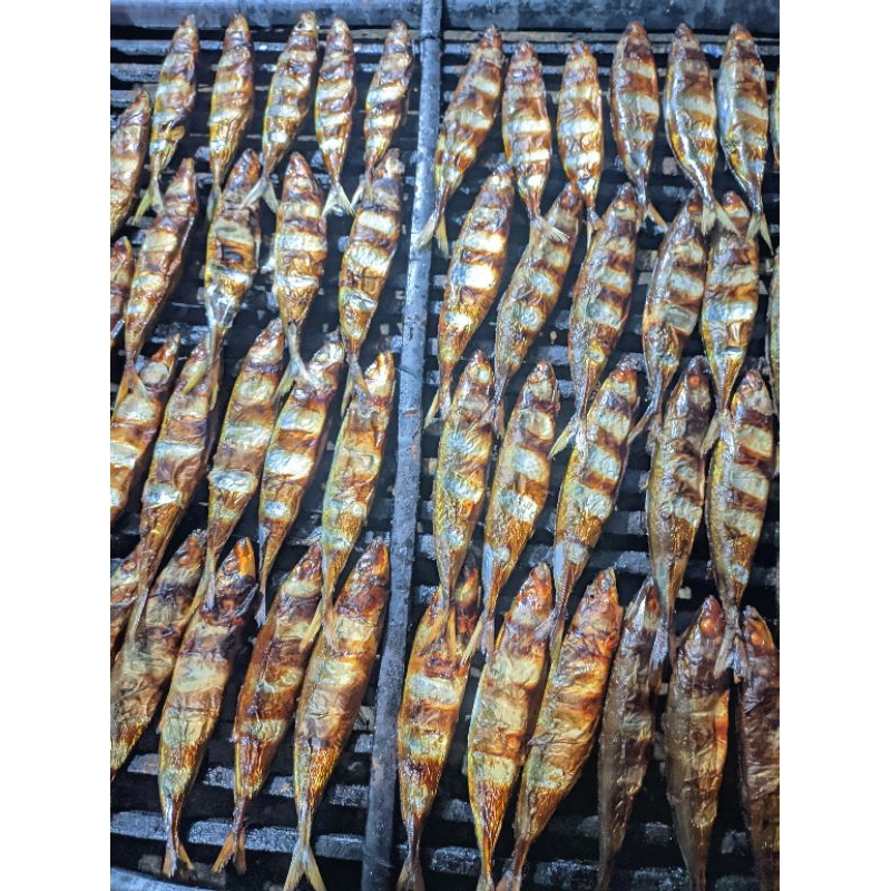 Jual Ikan asap layang isi 10 pcs / Ikan panggang layang / Ikan asap ...