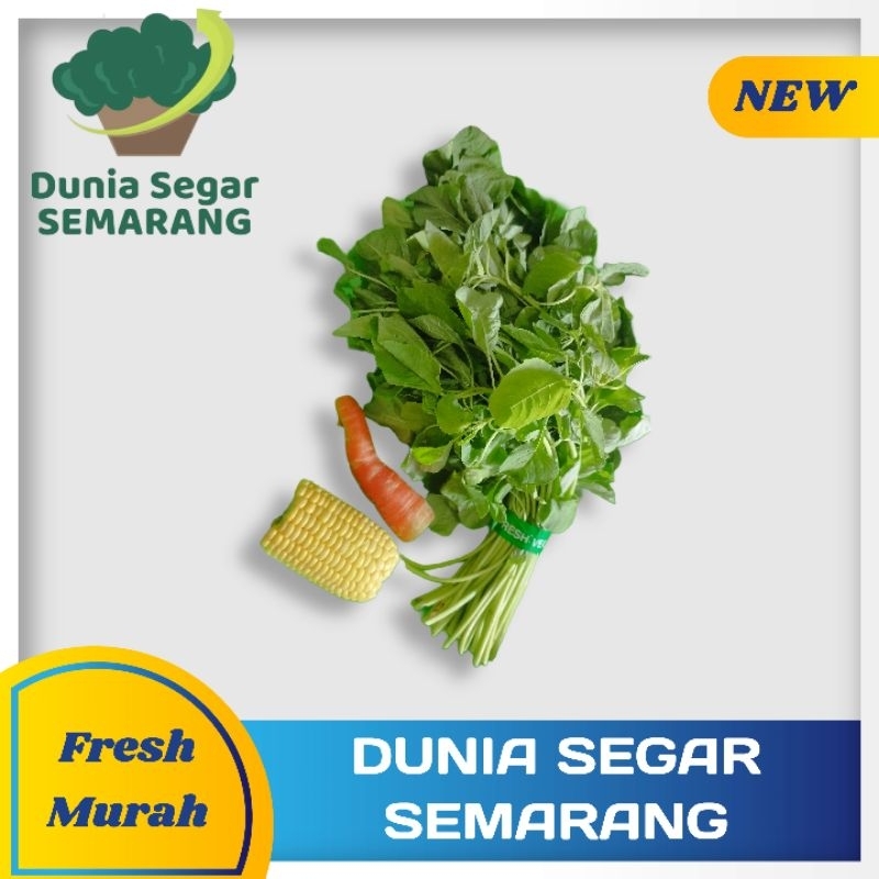 Jual Paket Sayur Siap Masak | Shopee Indonesia