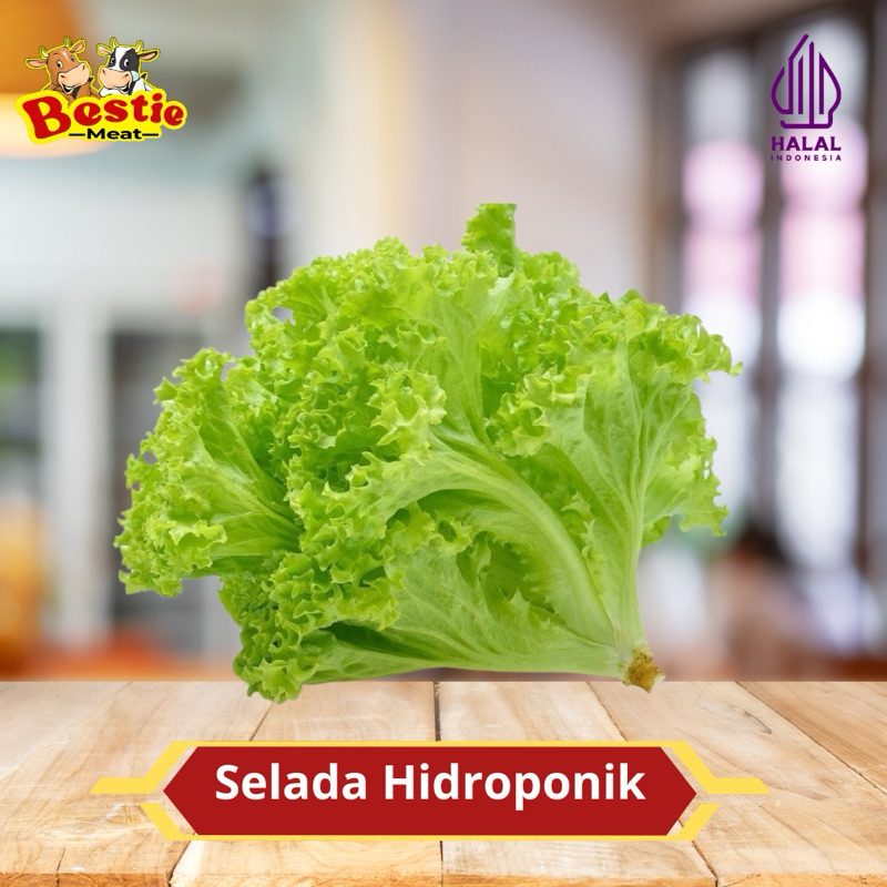 Jual Selada Fresh Hidroponik 100g - 250g | Shopee Indonesia