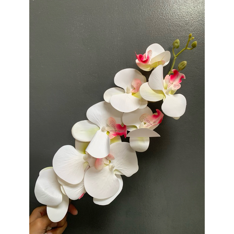 Jual ANGGREK LATEK JUMBO 3 CABANG / VAS BUNGA AESTHETIC/ RANGKAIAN ...