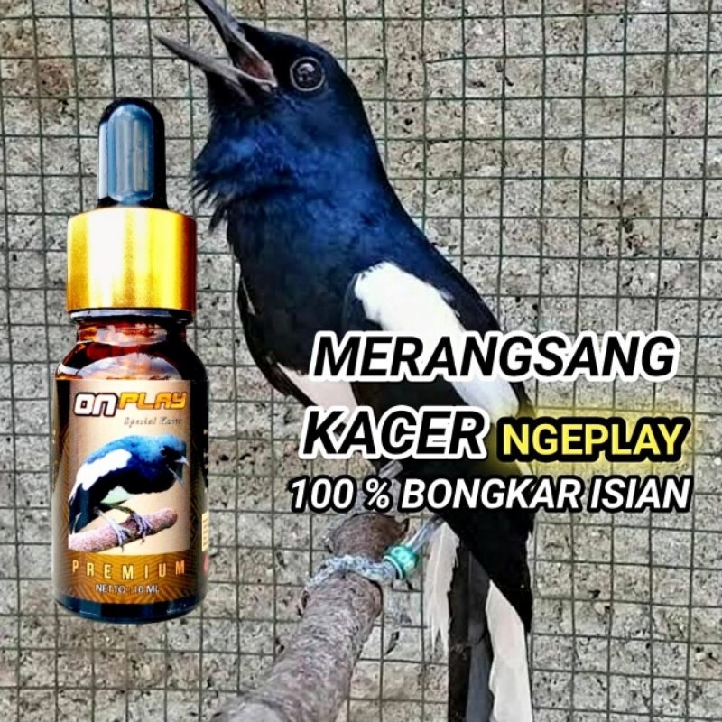 Jual ONPLAY PREMIUM RG,Vitamin spesial khusus kacer,gampang ON ngobra ...