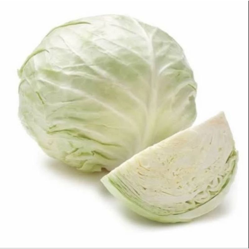Jual Kol Kubis Putih 1/2 atau 1 potong | Shopee Indonesia