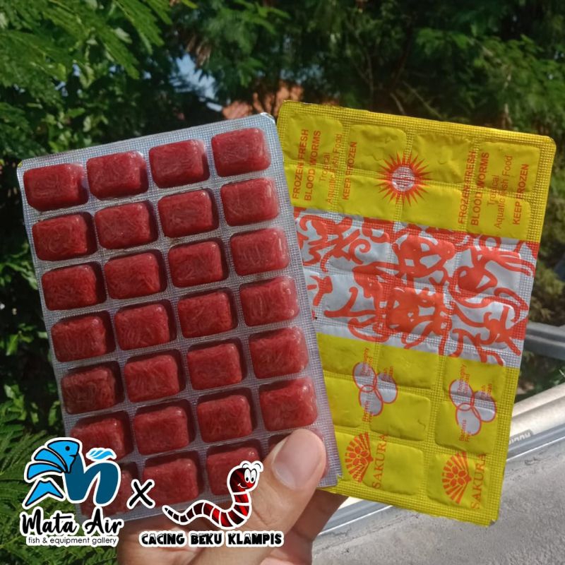 Jual Cacing Beku/Cabek/Frozen Blood worm Sakura | Shopee Indonesia