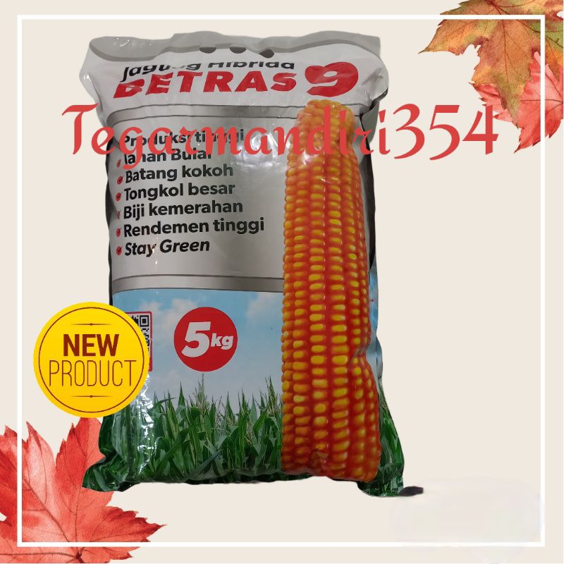 Jual Benih jagung B89 5kg - Benih jagung betras 9 5kg Bibit jagung ...