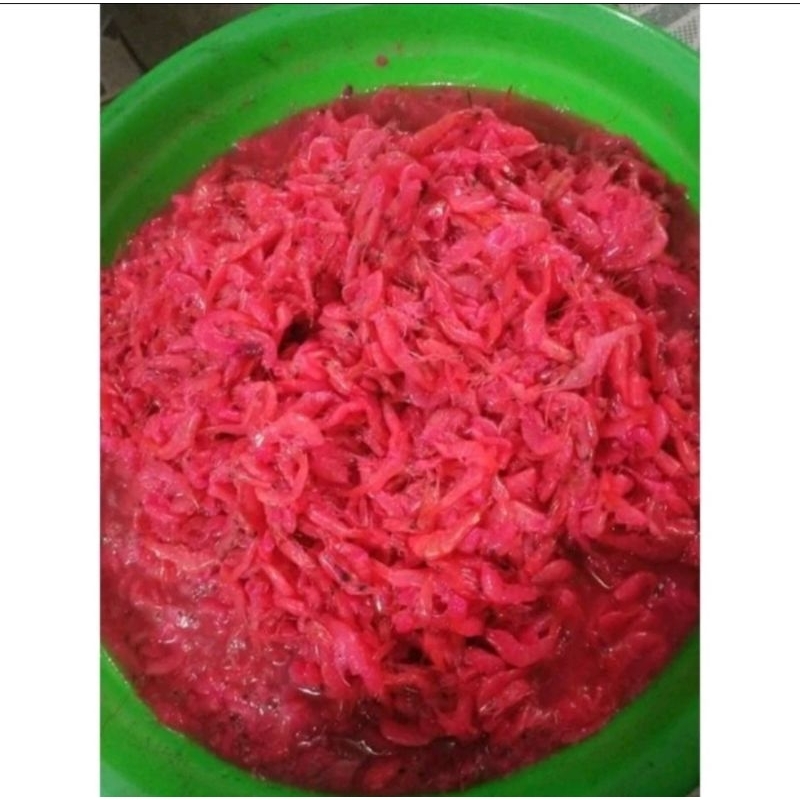 Jual HAKUNG KOI 500gr , THAI HAKOI , UDANG REBON FERMENTASI KHAS ...