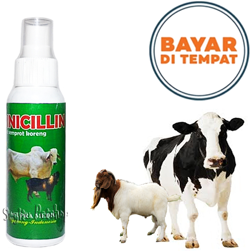 Jual OBAT SAPI KAMBING PINICILLIN SPREY PENGHILANG KORENG BOROK ANTI ...
