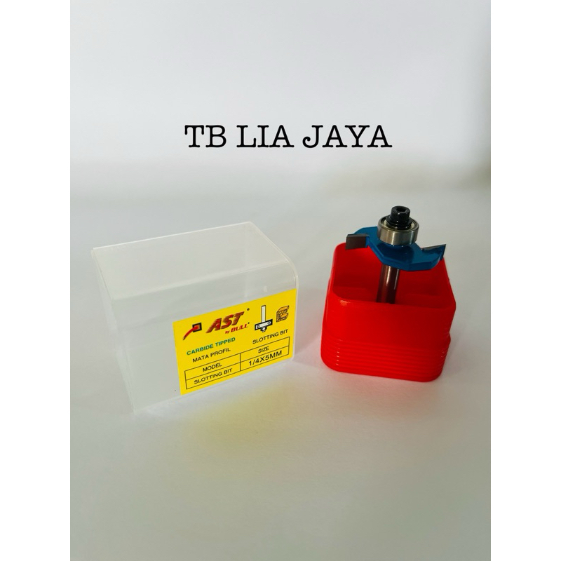 Jual Mata profil (AST) SLOTING Bit 5mm | Shopee Indonesia