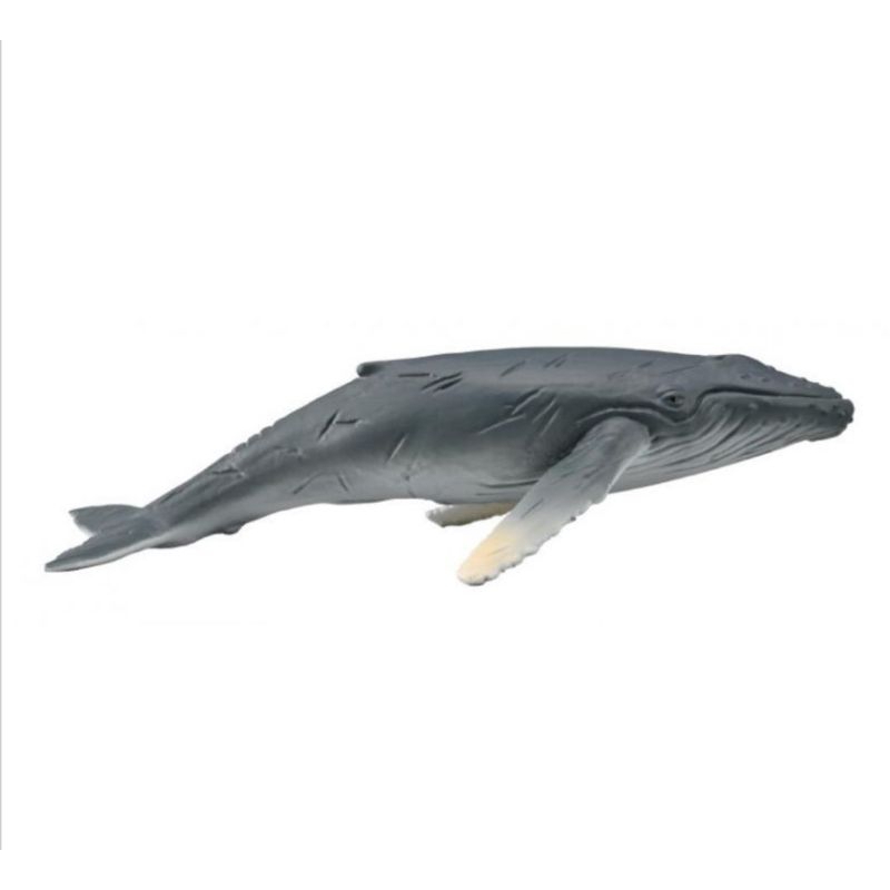 Jual Humpback Whale Calf 88963 Ikan Paus Mainan Animal Figure Binatang ...