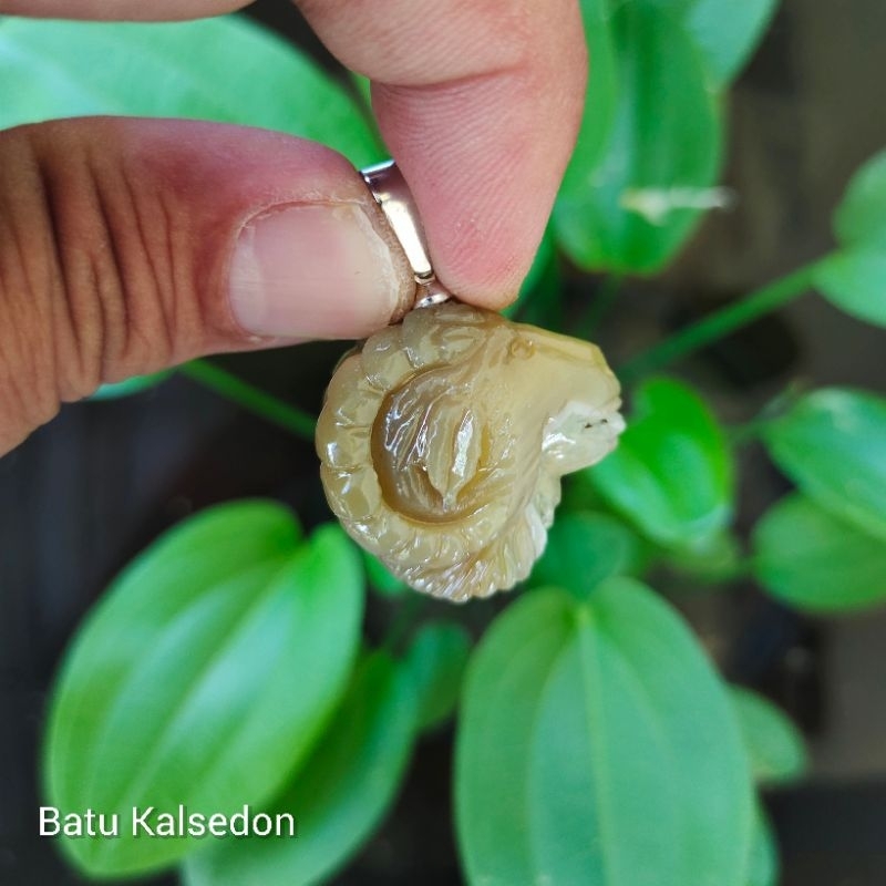 Jual Liontin Batu Kalsedon Ukiran Kepala Kambing | Shopee Indonesia