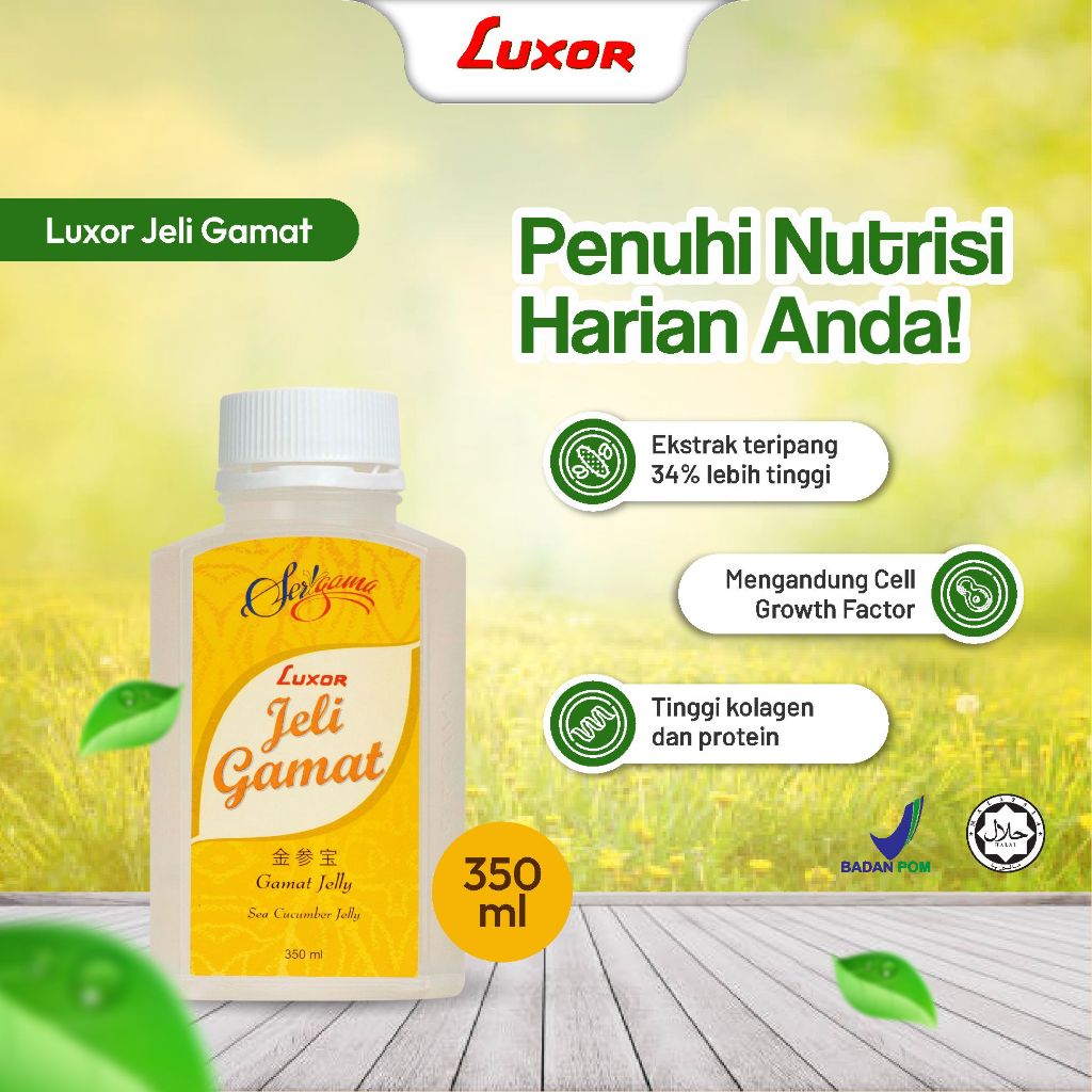 Jual Jelly Gamat Luxor Ekstrak Teripang 34% Tinggi Kolagen & Protein ...