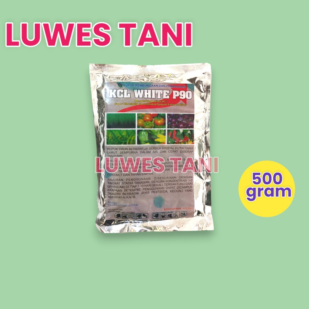 Jual KCL WHITE P90 100% ORIGINAL 500GRM PUPUK MEMPERBESAR BUAH & DAUN ...