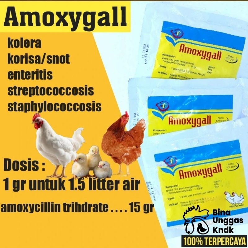 Jual AMOXITIN = Amoxygall 【Obat pencernaan Unggas 100gr】 | Shopee Indonesia