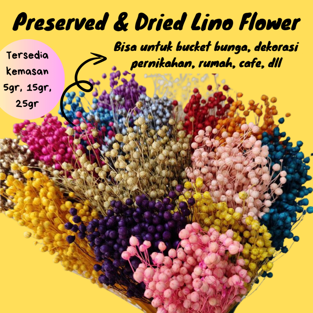 Jual 5 – 25 gr Preserved & Dried Lino Flower / Dried Flower Awetan ...