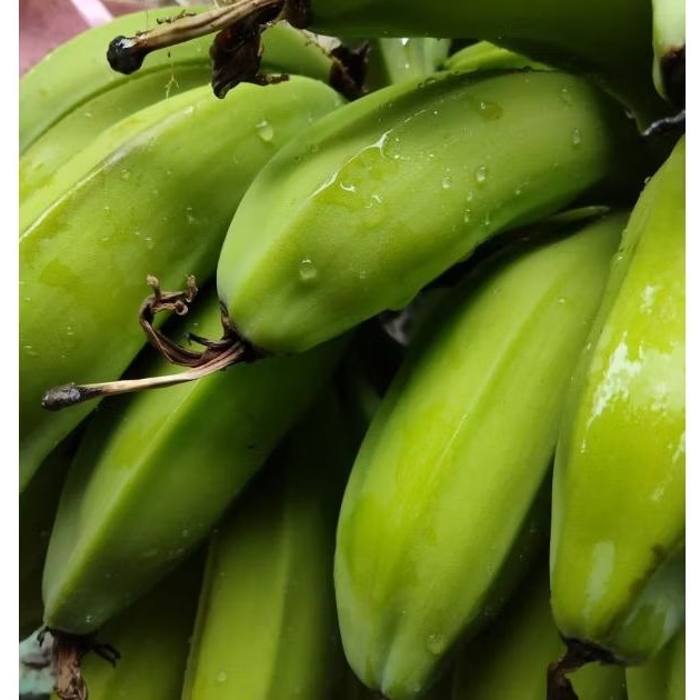 Jual Pisang batu muda pisang kluthuk segar 500 gram | Shopee Indonesia