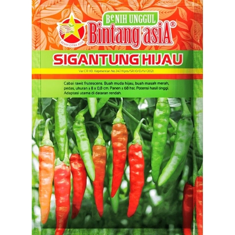 Jual Benih Cabe Rawit Ijo CRH SIGANTUNG HIJAU 10 gram Bibit Cabai ...