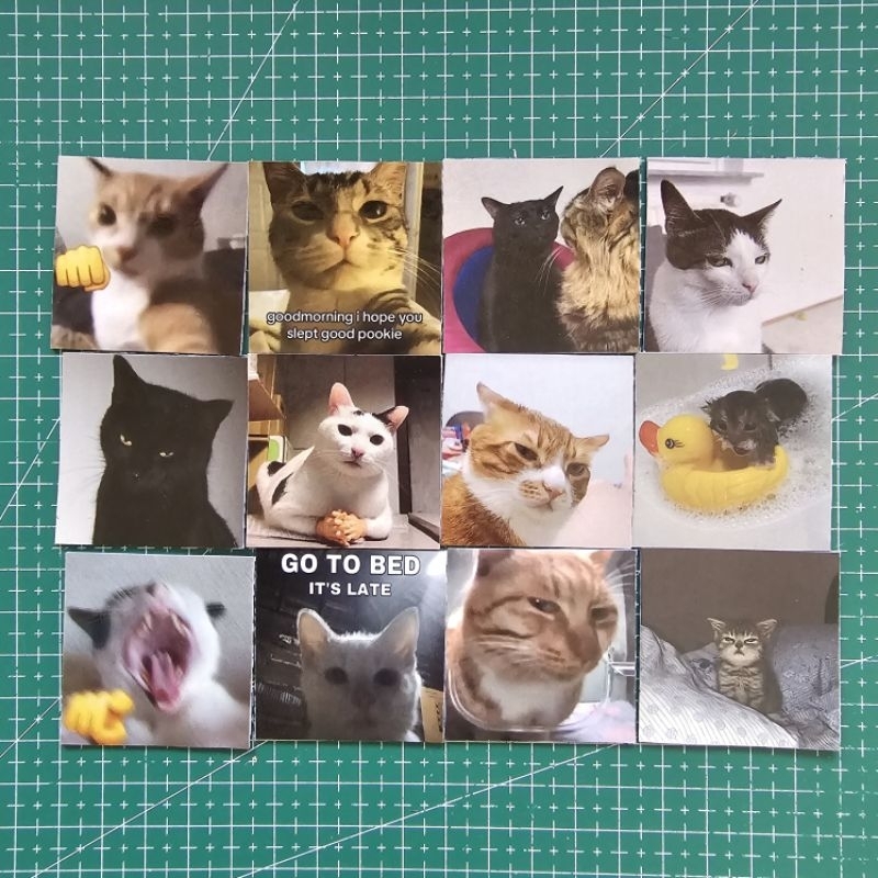 Jual MAGNET KULKAS CAT MEME KUCING INTERNET PAPER MAGNET FREEBIES EVENT ...
