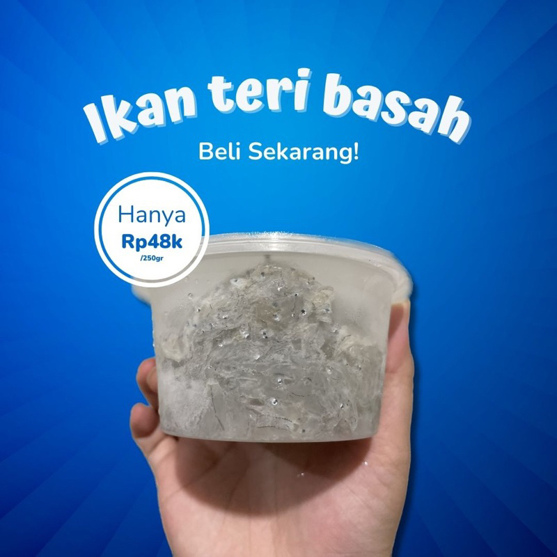 Jual IKAN TERI BASAH 250 GRAM / HARTA KARUN MPASI | Shopee Indonesia
