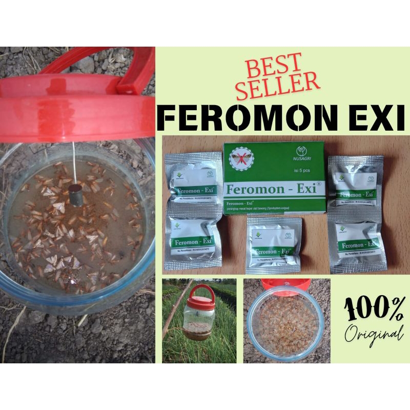 Jual Feromon Exi - Perangkap Hama Keper Ulat Bawang Merah isi 5 pcs/Box ...