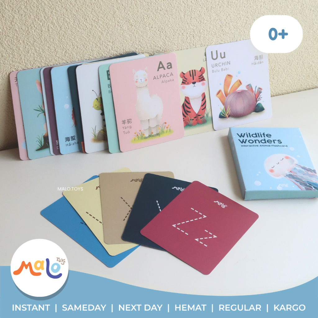 Jual MALOTOYS x Shania - Flash Card Alphabet Animal Binatang Inggris ...