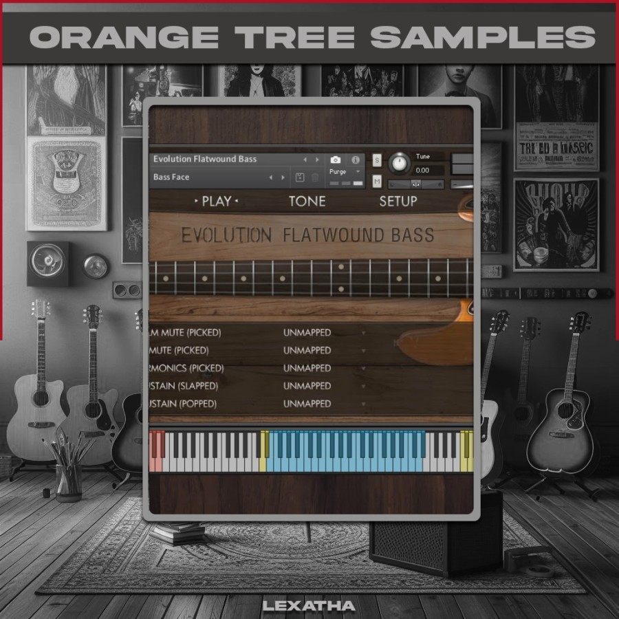 Jual Evolution Flatwound Bass Orange Tree Samples Library | Shopee Indonesia