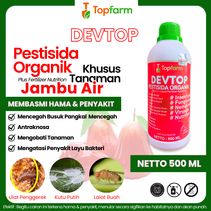 Jual Obat Hama Daun Pohon Jambu Air / Obat Hama Ulat Buah Jambu Air ...