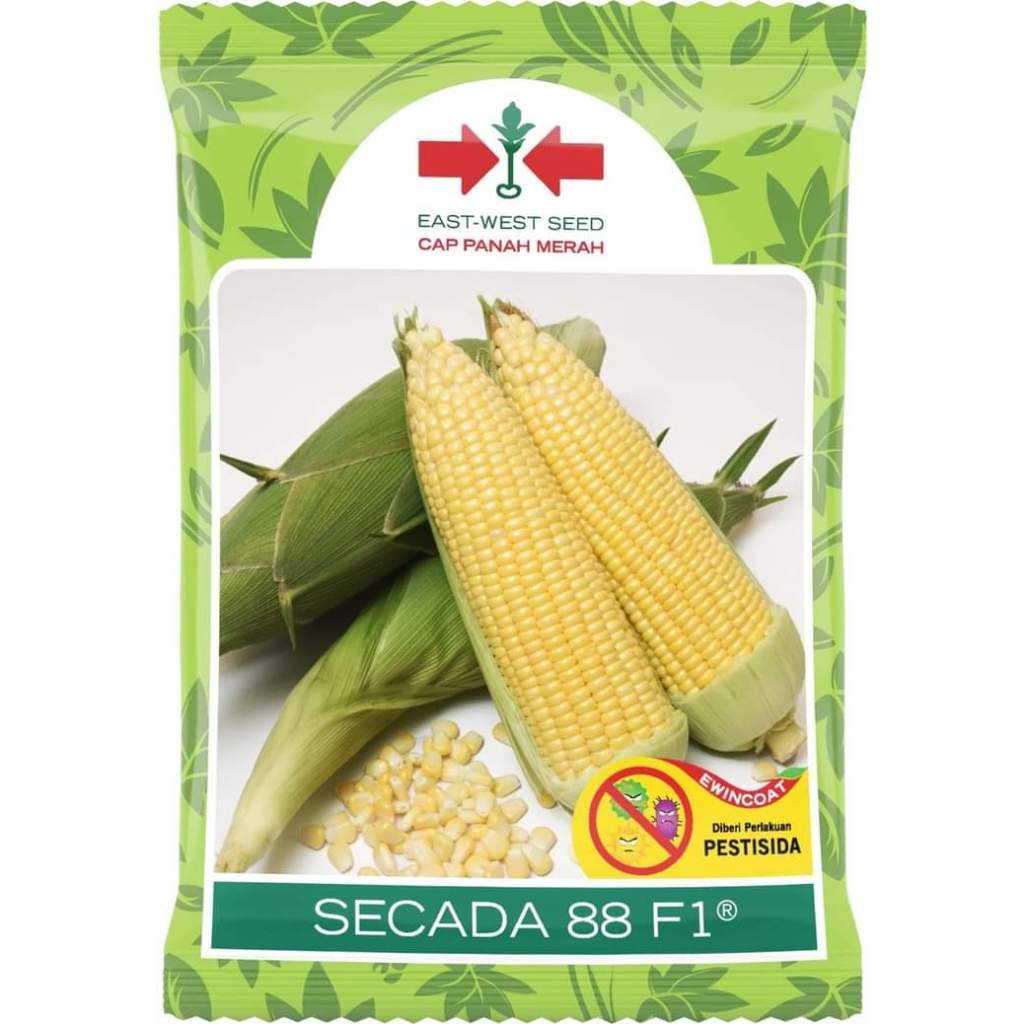 Jual Benih Jagung Manis Secada 88 F1 1.750 Biji | Shopee Indonesia