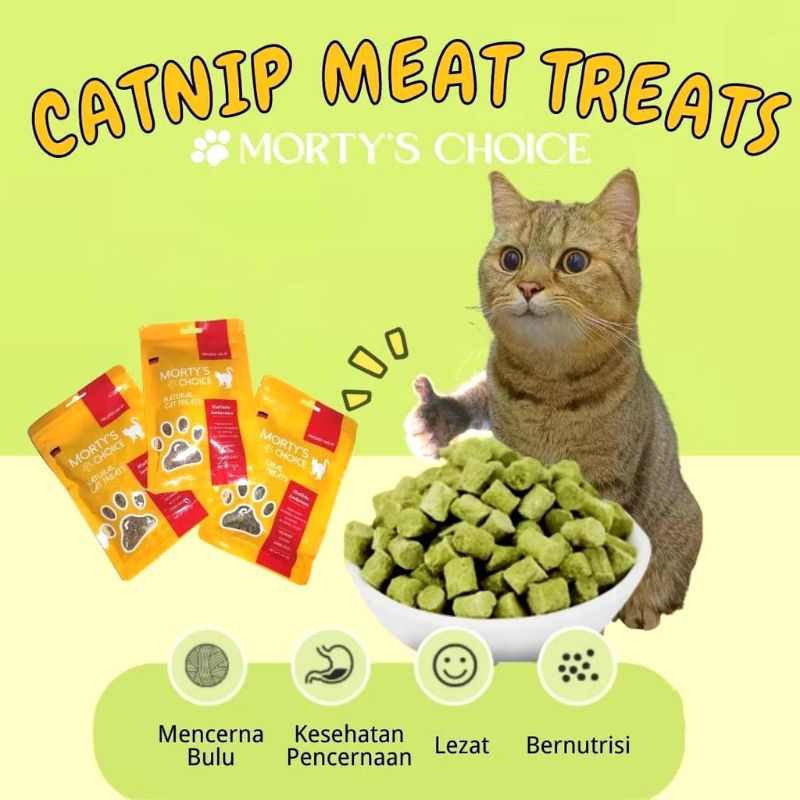 Jual Cat Grass Snack Catnip Daging Ayam dan Sapi 60g Catnip Meat Treats ...