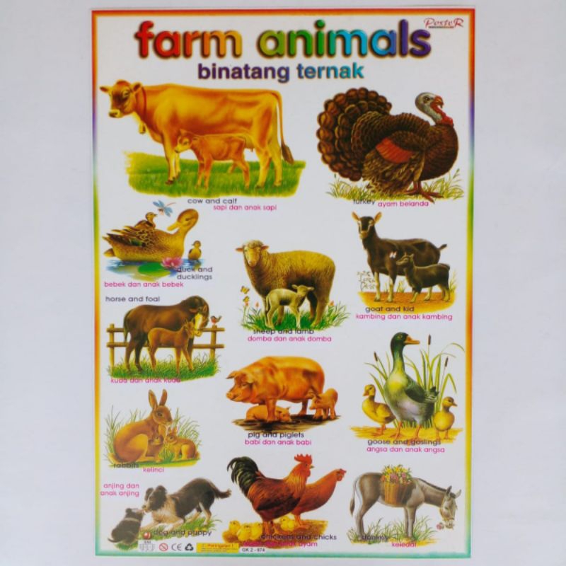 Jual Poster Anak Edukasi Farm Animals / Binatang Ternak | Shopee Indonesia