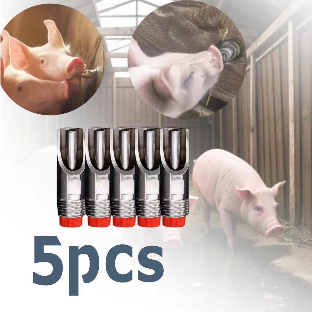 Jual 5 pcs Alat Minum Hewan Sapi Kecil Tempat Minum Dot Stainless Babi Niple Drinker Alat Minum ...