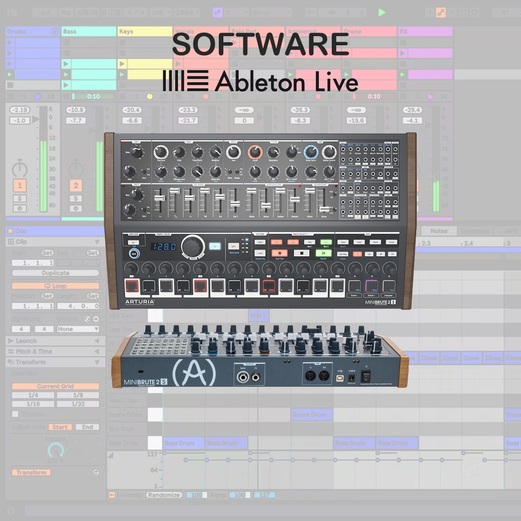 Jual ARTURIA MiniBrute 2S Analog Synthesizer | Shopee Indonesia