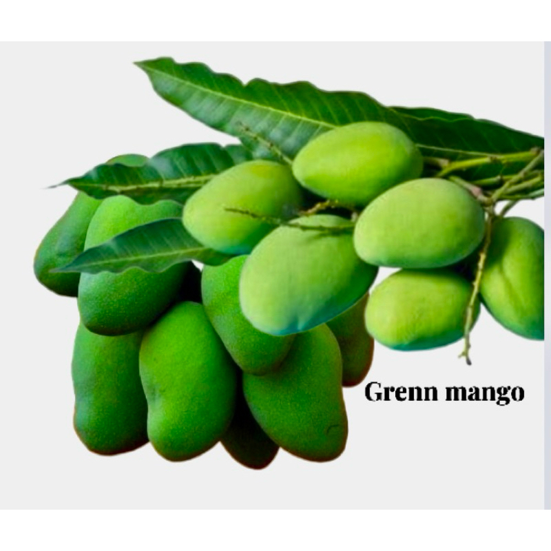 Jual mangga muda rujak mentah/telor/manalagi/gadung 1kg KHUSUS AREA ...