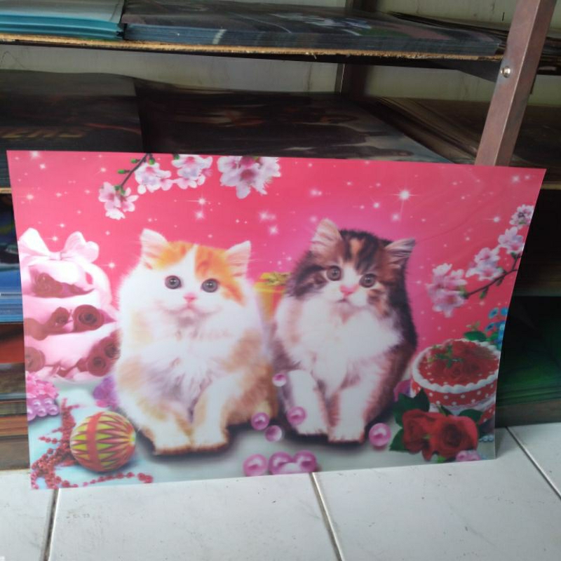 Jual POSTER 3 DIMENSI 2 kucing lucu UKURAN 38X58 CM (TERLIHAT NYATA ...