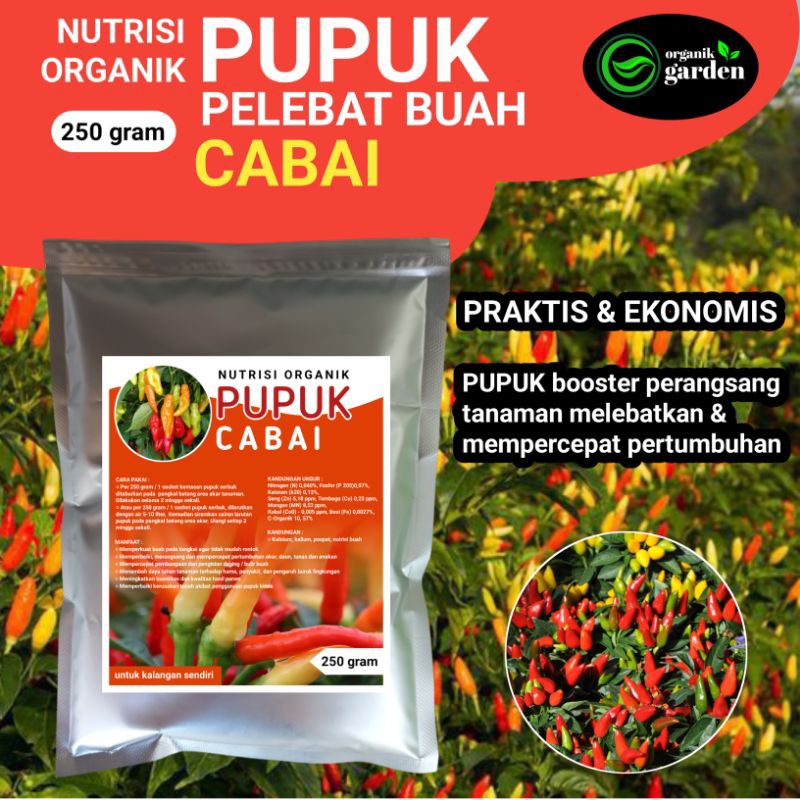 Jual pupuk pelebat buah CABAI | booster melebatkan secara masimal 250gram | Shopee Indonesia