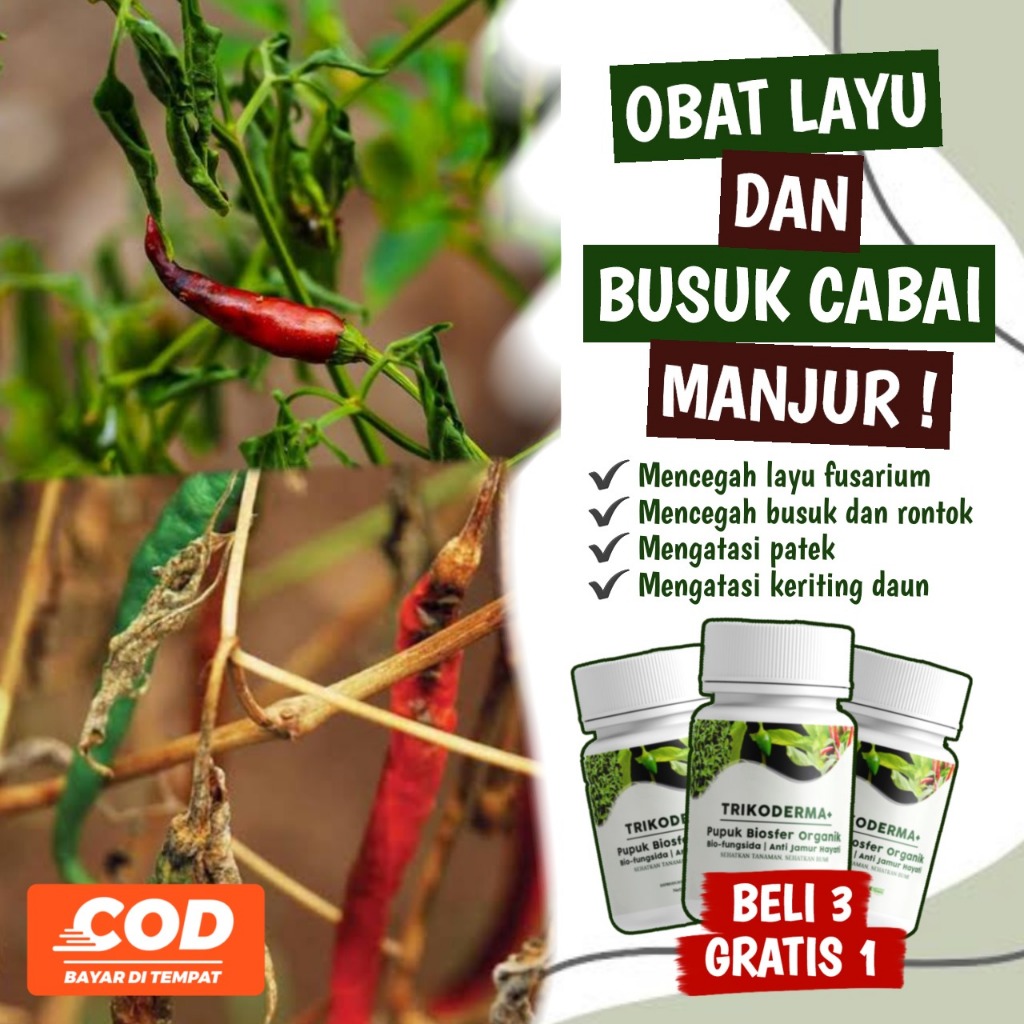 Jual Pupuk Trichoderma ZPT POC Cabai - Biofertilizer Pembungaan ...