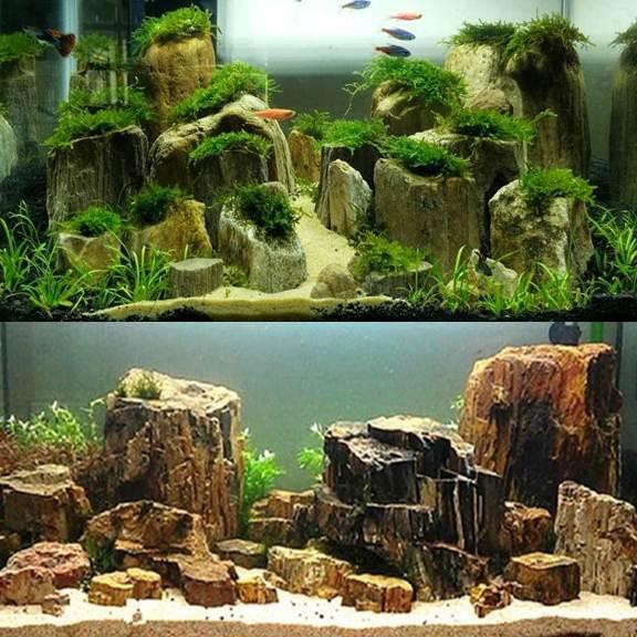 Jual BATU FOSIL KAYU HIASAN AQUARIUM AQUASCAPE | Shopee Indonesia
